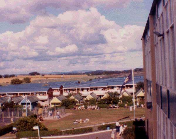 Find Friend Stevan Hogg on LostAmigos.com